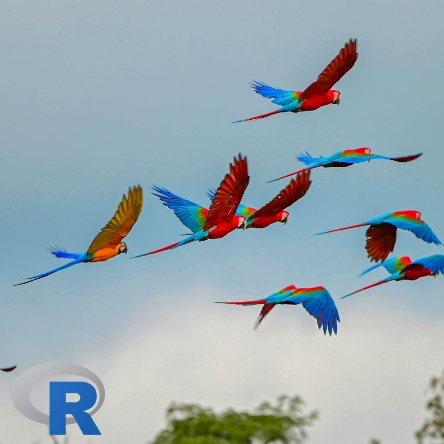 Analysis of Avian Point-Count Data in the Presence of Detection Error ...